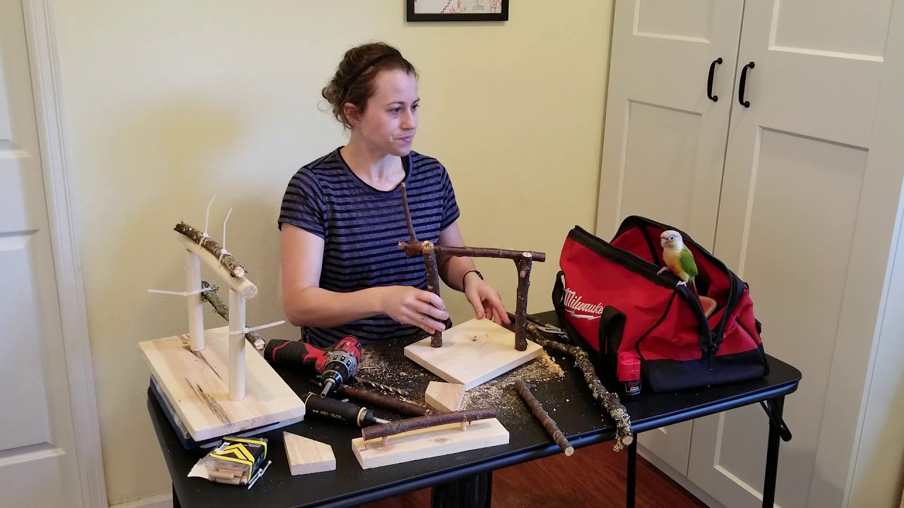 DIY Bird Perch Tutorial - 3 Styles of Parrot Play Stand - YouTube