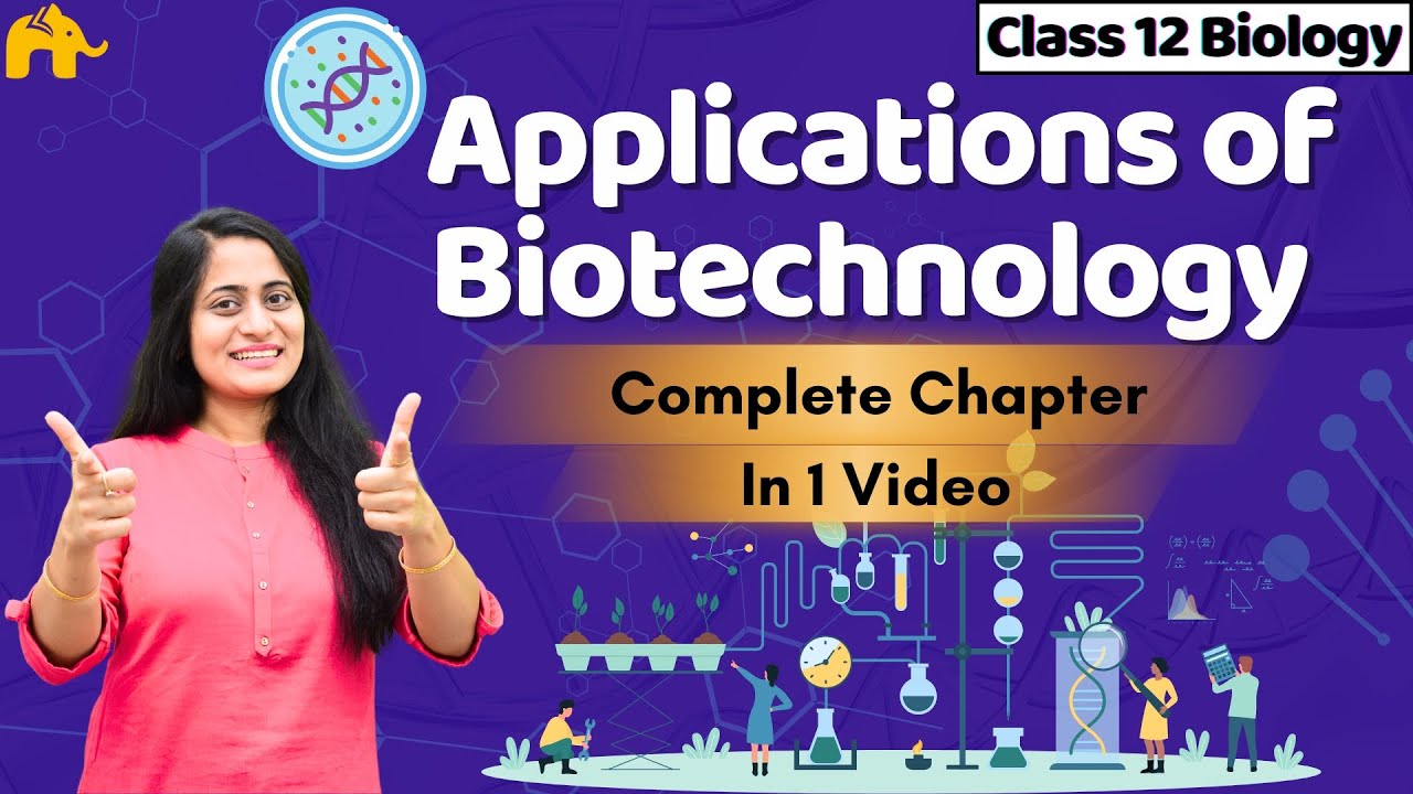 Biotechnology and its Applications Class 12 Biology | NCERT Chapter 12 ...