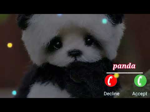 💞 New ringtone 2022🥀#panda 🐼remix song🥀 what's app video status 😍#cutipai ||