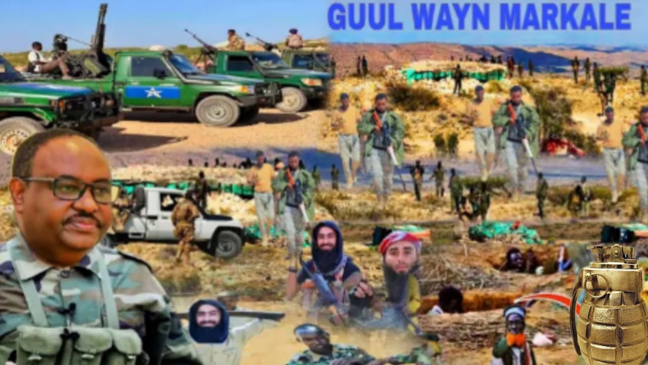 waawareey puntland oo soobandhigtay tirada ajaanib laqabtay dhimashadii ...
