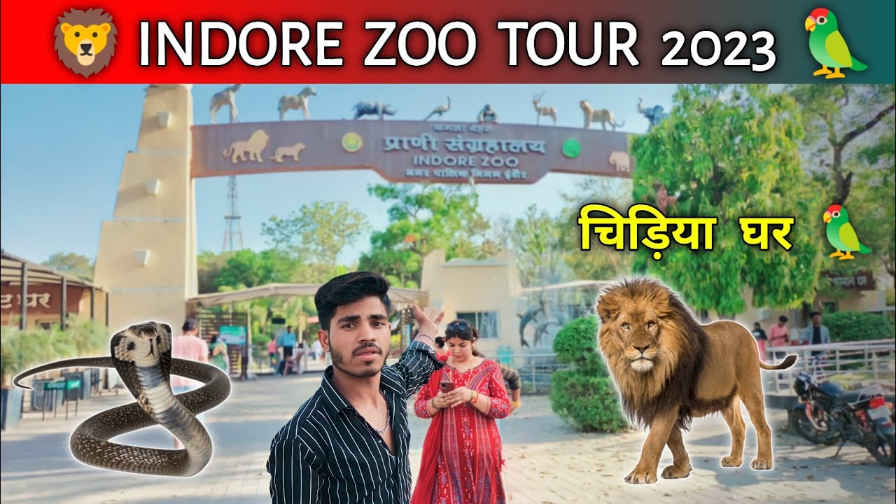Indore Zoo | Zoo Indore | Chidiya Ghar | Indore Zoo Tour | Zoo Vlog ...