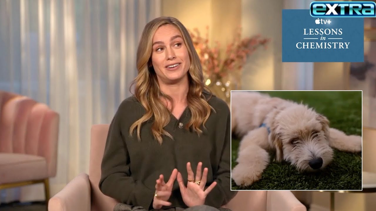 Brie Larson Says Rescue Dog Six-Thirty Chose His Own Name! (Exclusive ...