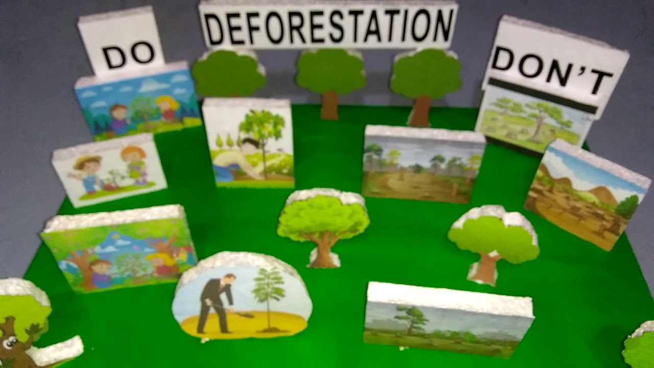 Deforestation project - YouTube
