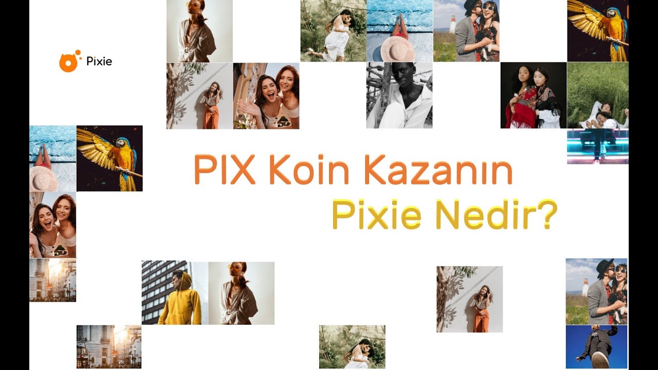 Pixie Fotoğraf ve Video Paylaşım Sosyal Ağı ile Pix Koin Kazan I NFT ...