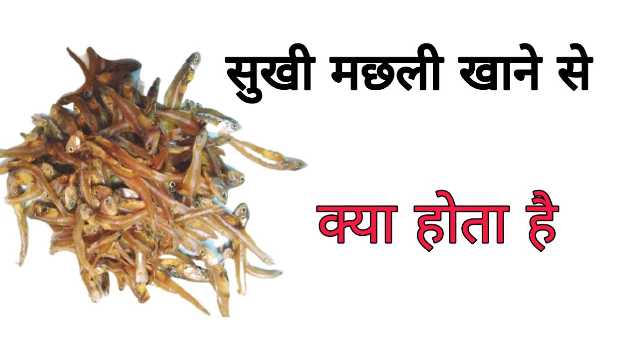 सुखी मछली खाने से क्या होता है। sukhi machhli khane ke fayde। sukhi ...