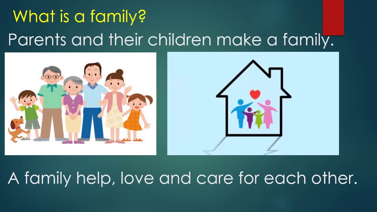 Grade 2 - EVS (Chapter 3 - Our Family) - YouTube