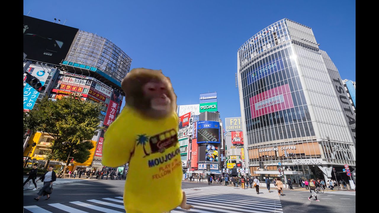Shitposts made by a monkey - YouTube