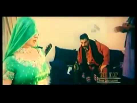 Bina paran dy