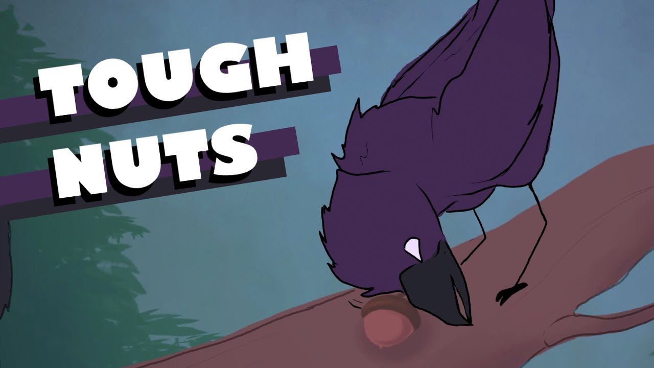 Tough Nuts are Problematic... - YouTube