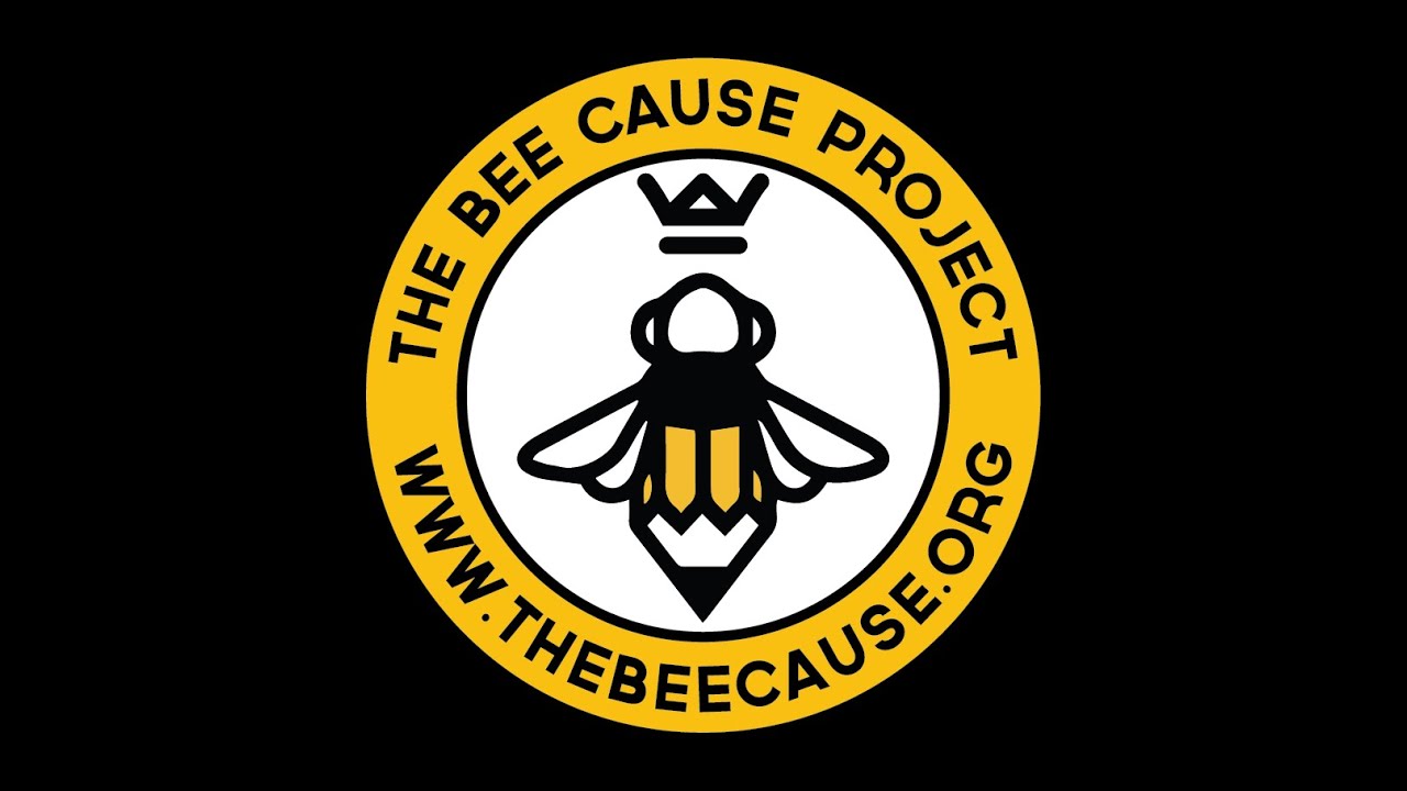 Meet The Bee Cause Project - YouTube