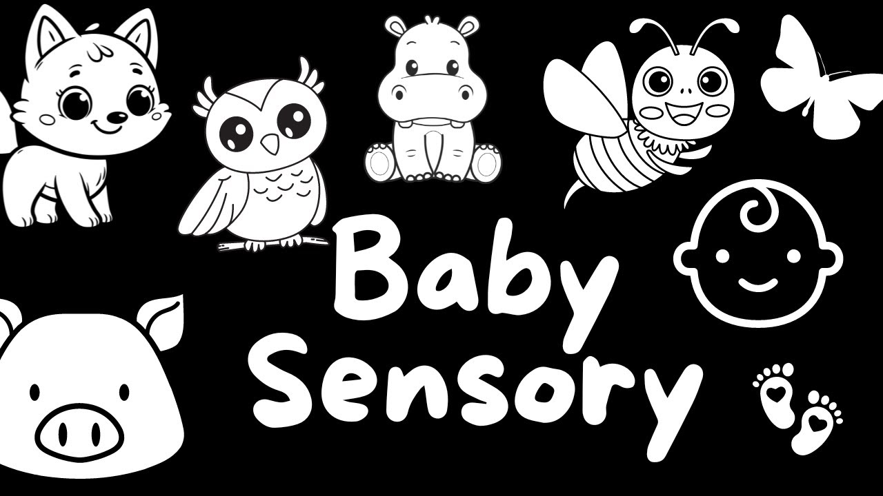 Black and White Baby Sensory Stimulation Video Animals | Fun Music and ...