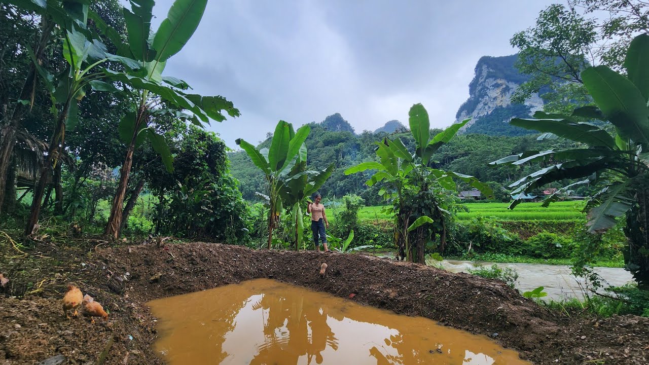 The girl dug the fish pond. Build a fish pond in 2 days - start and ...