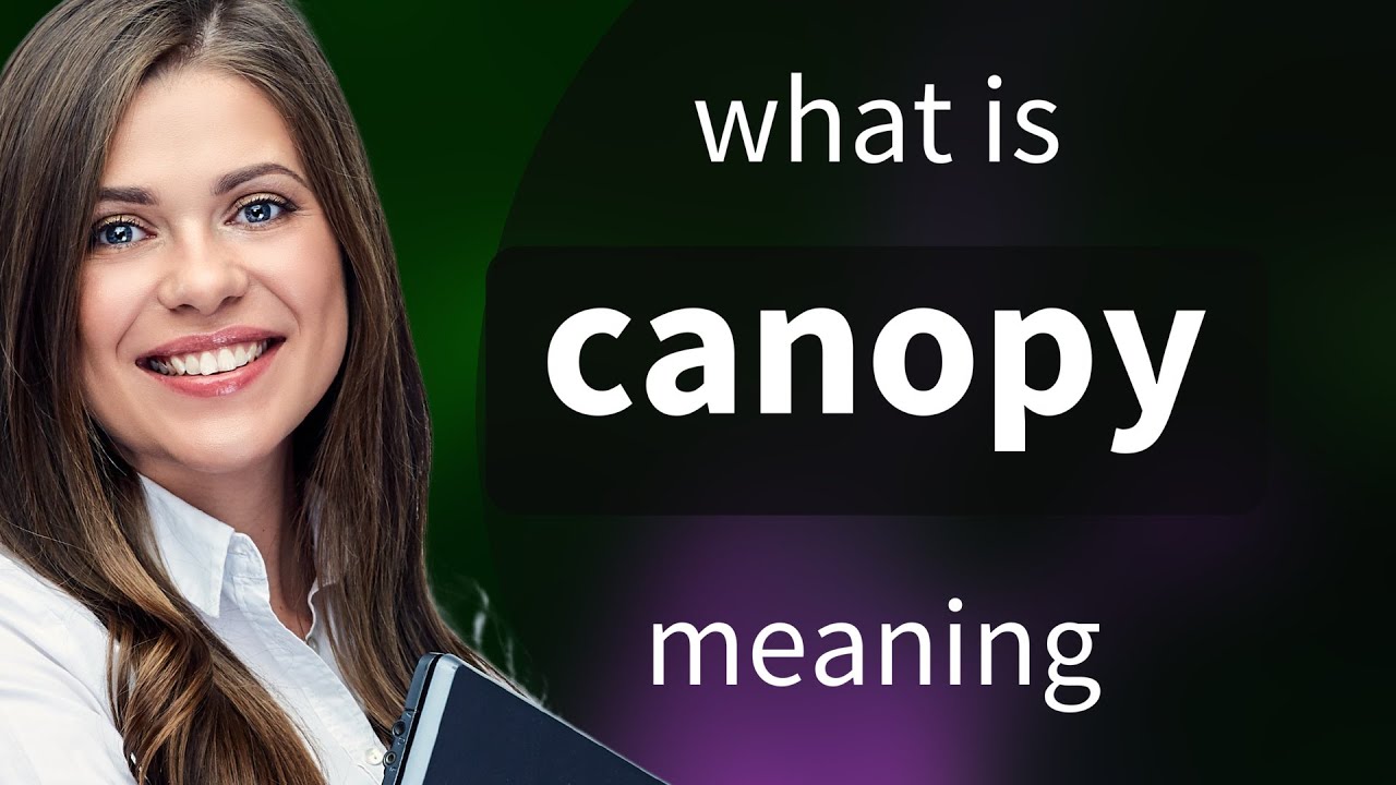 Canopy — what is CANOPY definition - YouTube