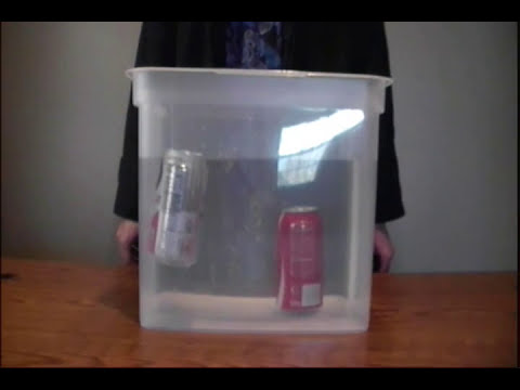 Why Do Regular Sodas Sink And Diet Float