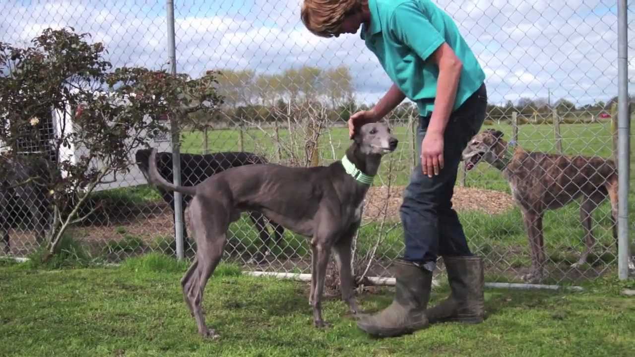 Taliesin Blue - Blue - YouTube