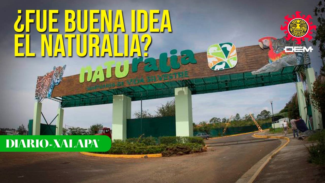 Se oponen a Santuario de Vida Silvestre "Naturalia" en Xalapa - YouTube