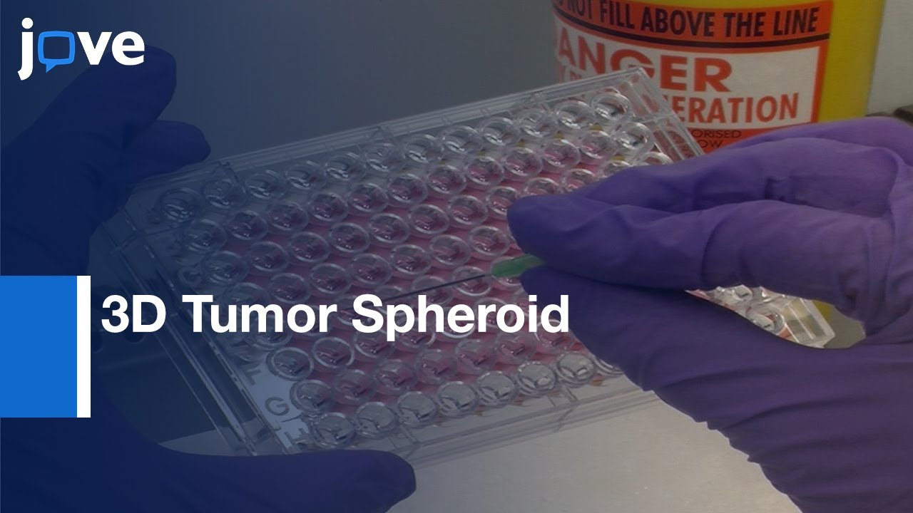 3D Tumor Spheroid Invasion Assay | Protocol Preview - YouTube