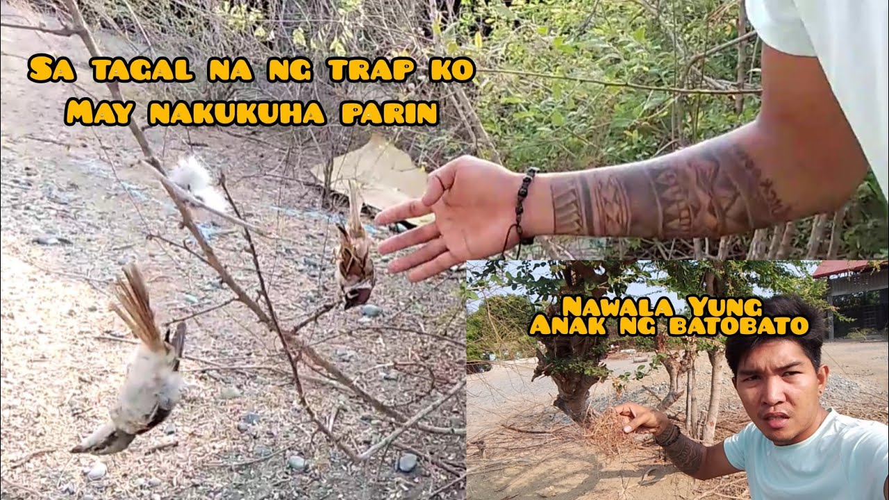 may nakukuha parin yung trap ko at nawala Yung anak ng pagaw - YouTube