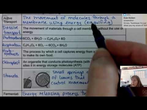 Cell processes study guide review with Mrs Tomlinson - YouTube