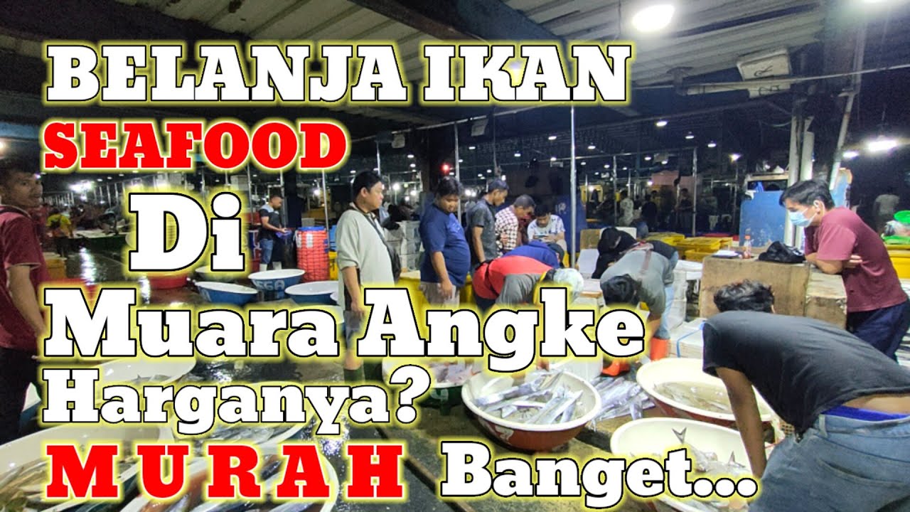 Belanja Ikan Seafood di Pasar Ikan Muara Angke - YouTube