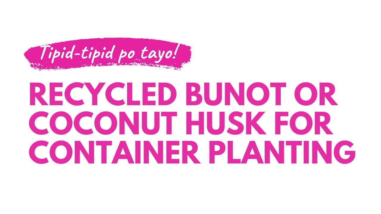 Using Bunot or Coconut Husk in Urban Container Planting - YouTube