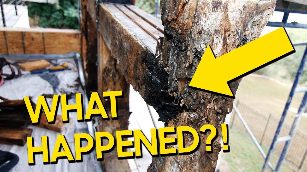 Learn from MY FAILURE - A Building Science Lesson - YouTube