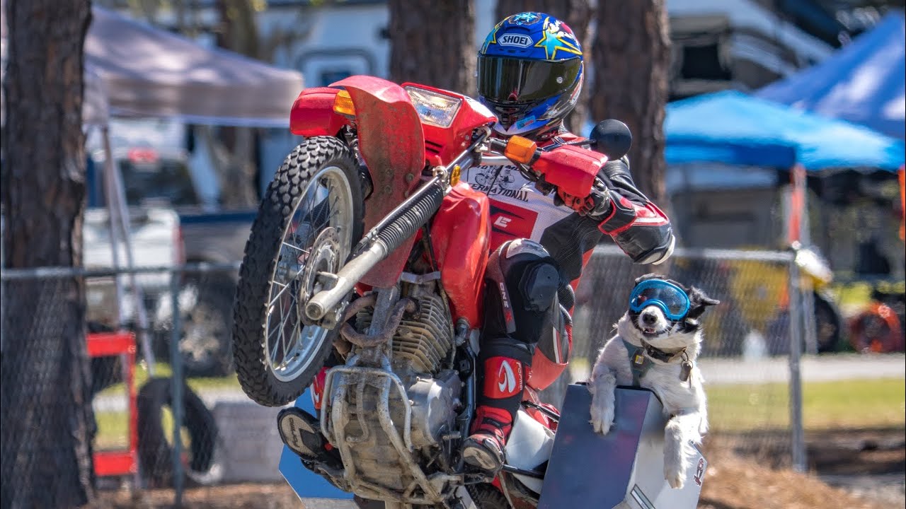 Max Wrist Tails Moto Mutt International on the Tail of the Dragon ...