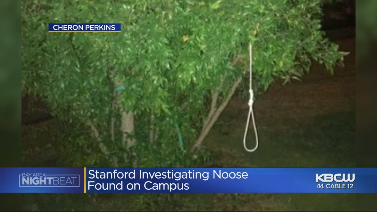 Noose On Tree