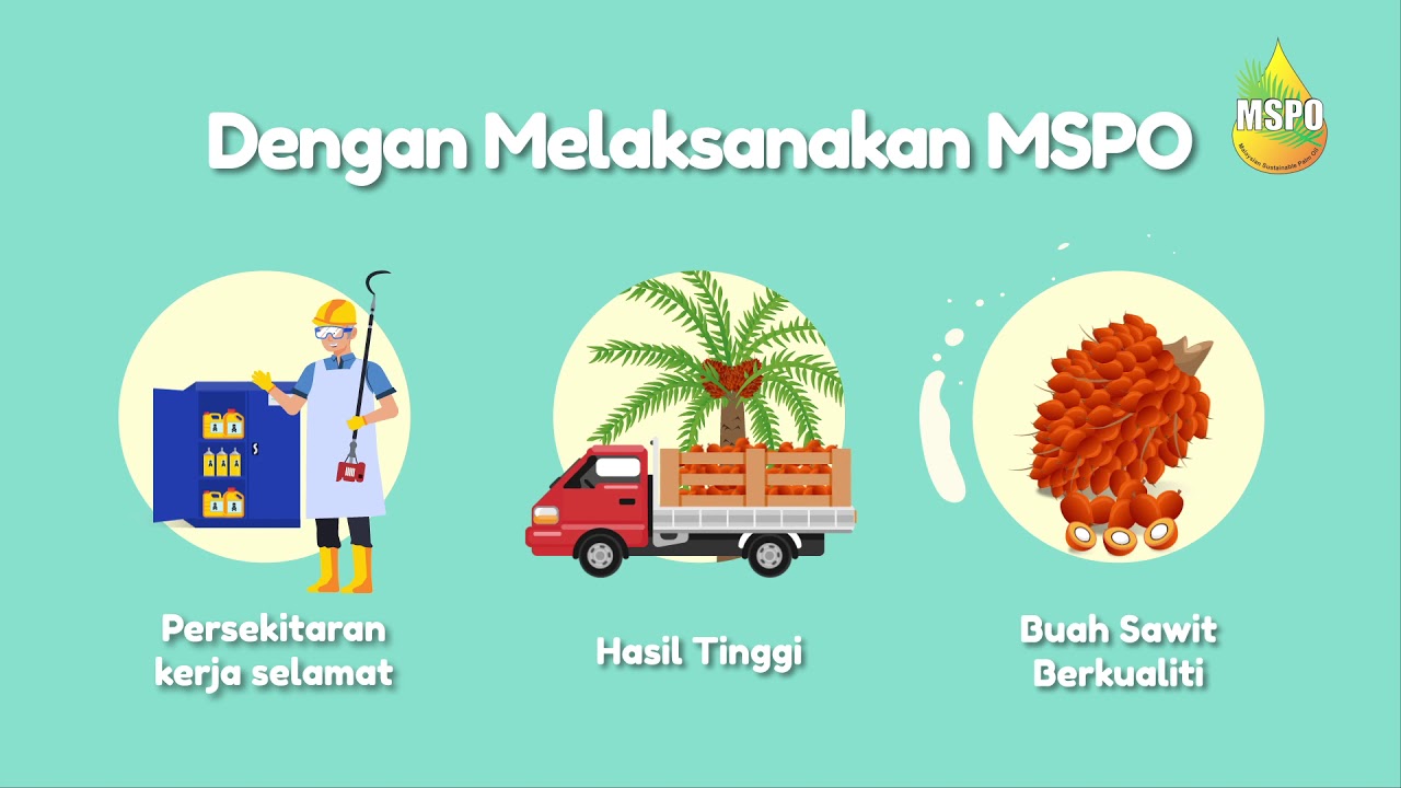 Tahukah anda Apa itu MSPO? Jom lihat video ini! - YouTube
