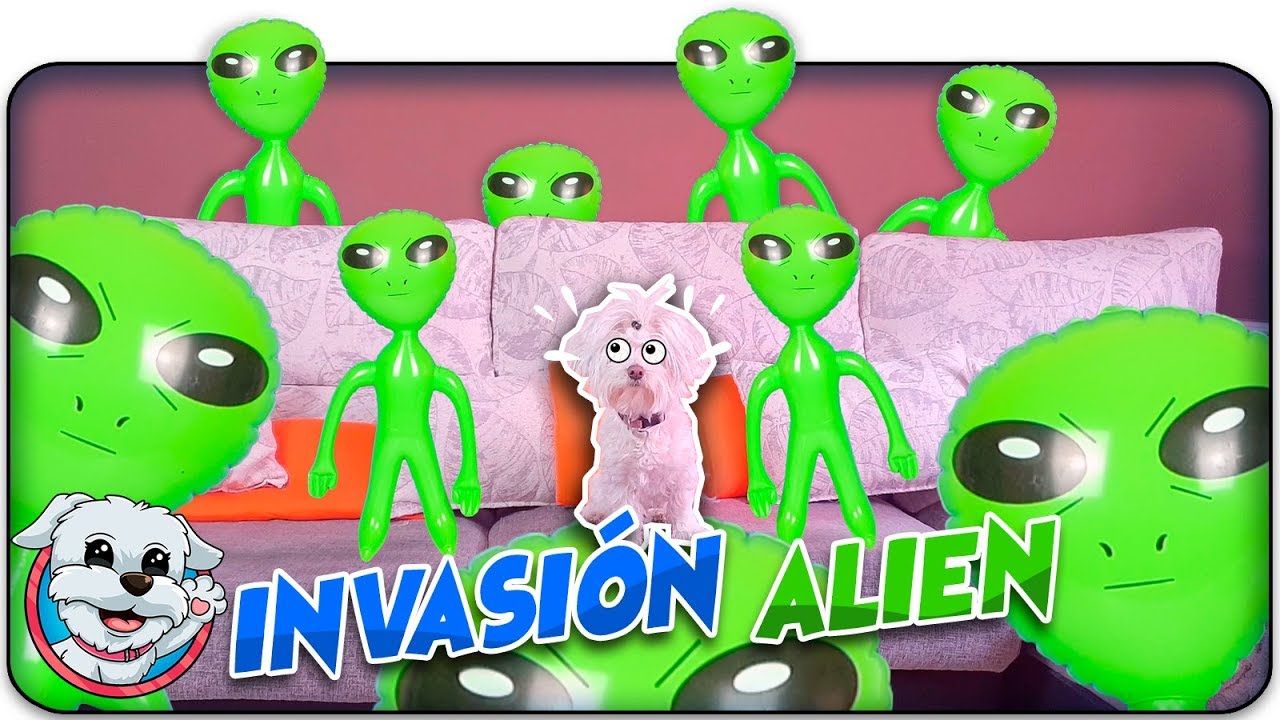 PERRO sorprendido por INVASIÓN ALIEN: Funny Dog Anima Dogs 👽🐶 - YouTube