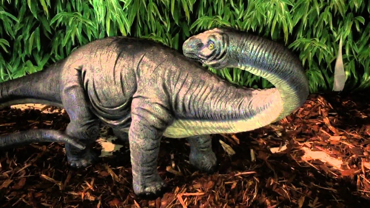 'Dino Den' at Shrewsbury Museum and Art Gallery - YouTube