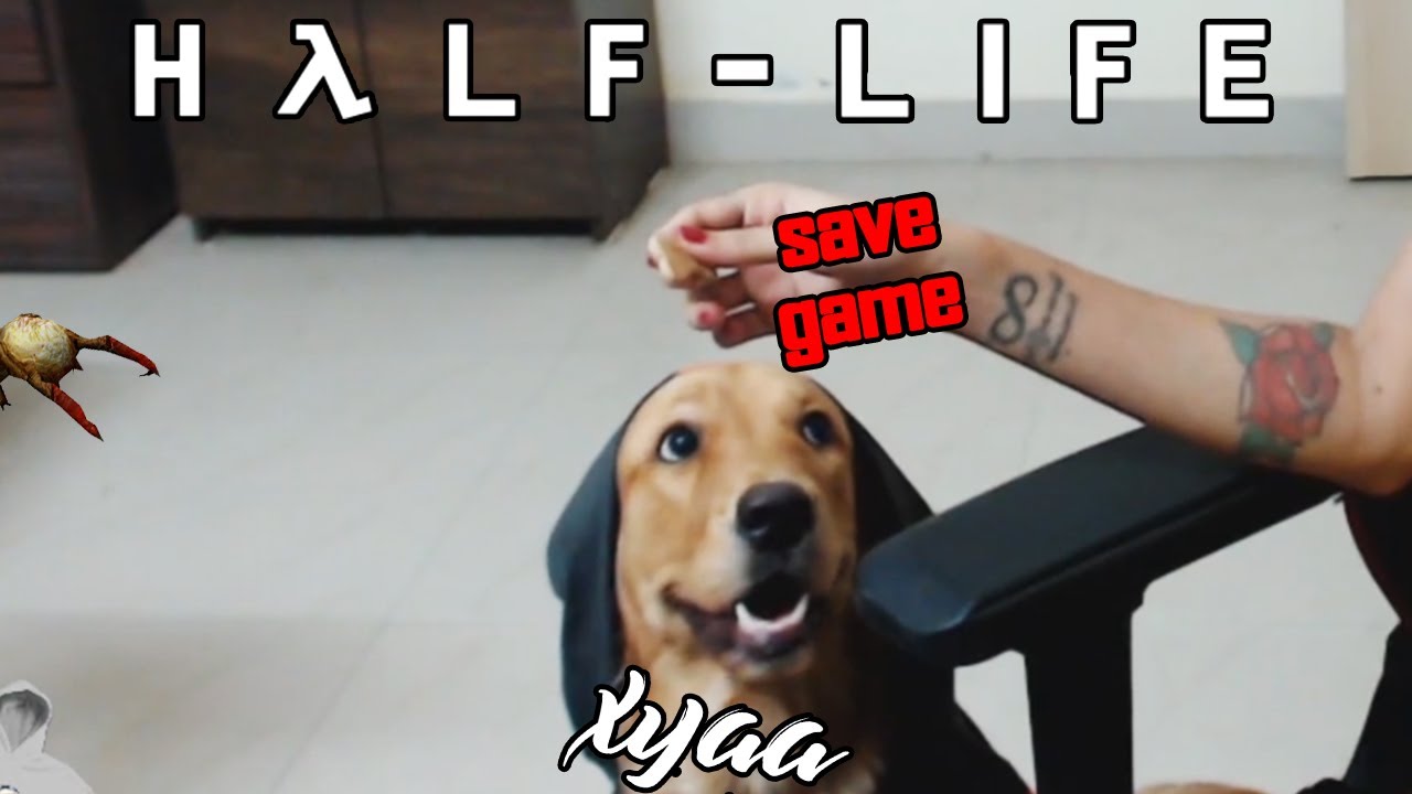 Xyaa plays Half-Life | Stream Highlights | #GameOnIntel - YouTube