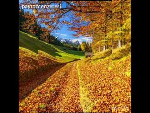 Heç yerde görmediyiniz payız menzersei payız feslini 2019sevenler üçün.