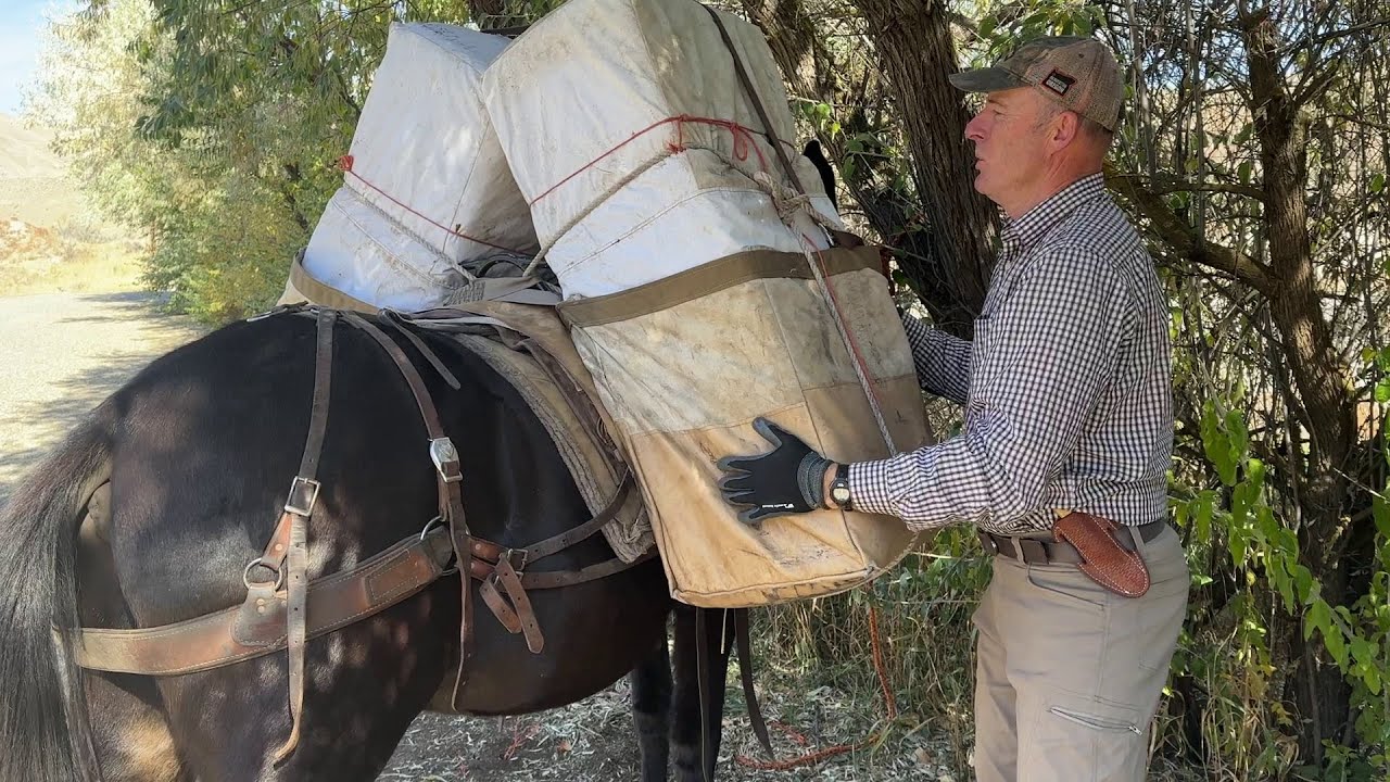 How to Load Hay Bales on a Mule for Packing the Easiest and Fastest Way ...