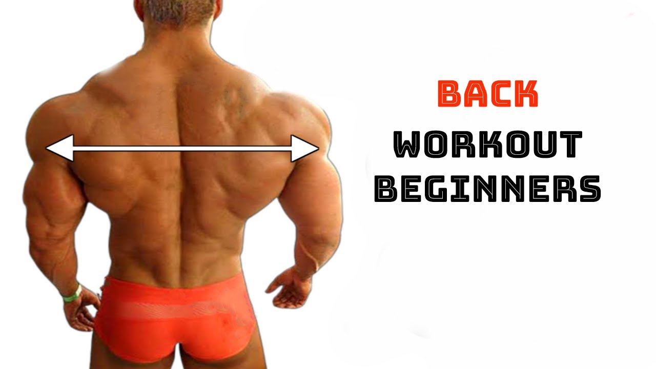 Back Workouts (Basics) For Beginners By @shubhamkuchankar| Full Back ...