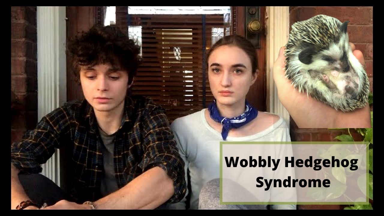 What is Wobbly Hedgehog Syndrome? (Síndrome del erizo tambaleante ...