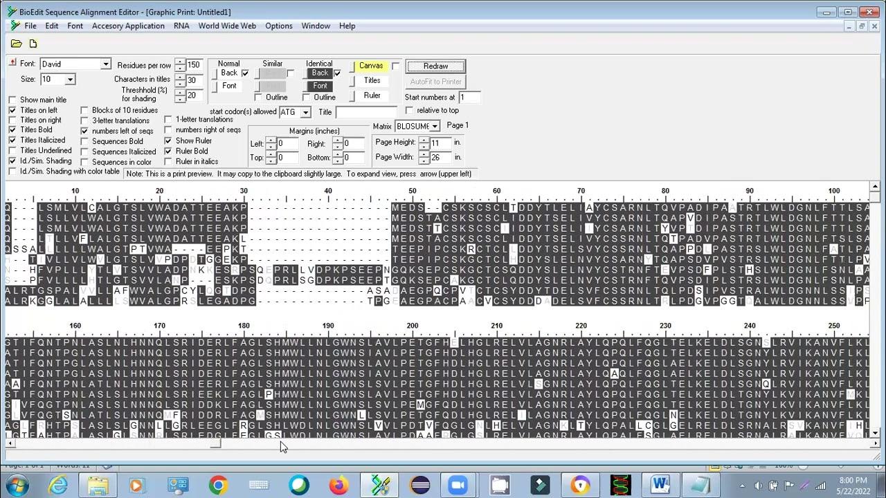Publication Quality image: multiple sequence alignment via ClustalW in BioEdit - YouTube