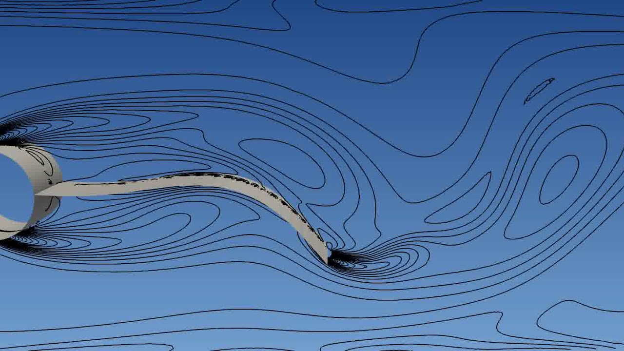 FSI (IBM) simulation with OpenFOAM - YouTube