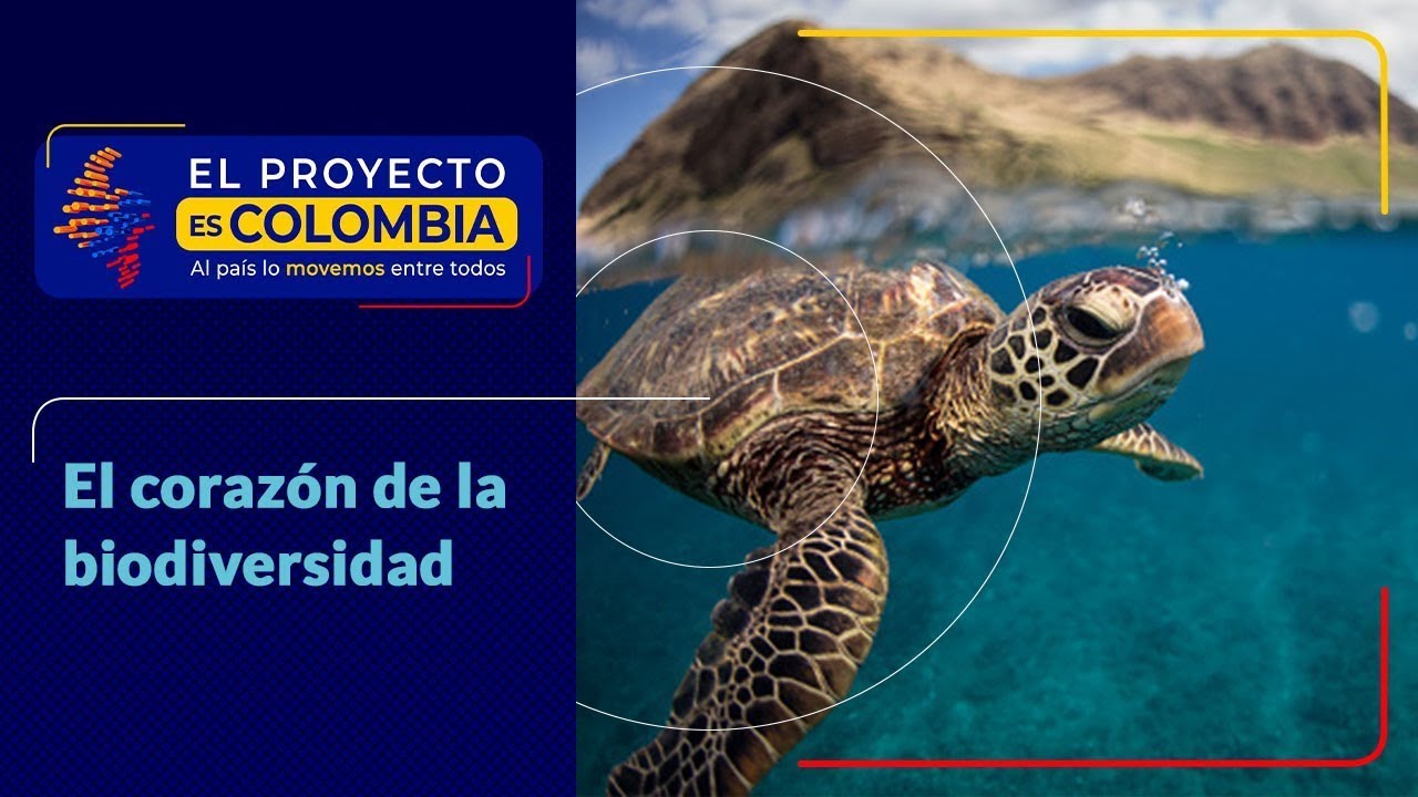 El Chocó biogeográfico, un tesoro natural que se extiende por 187.400 ...