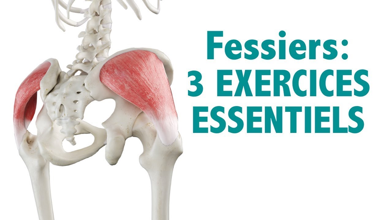 Fessiers: 3 exercices ESSENTIELS pour augmenter la force! (pour non ...