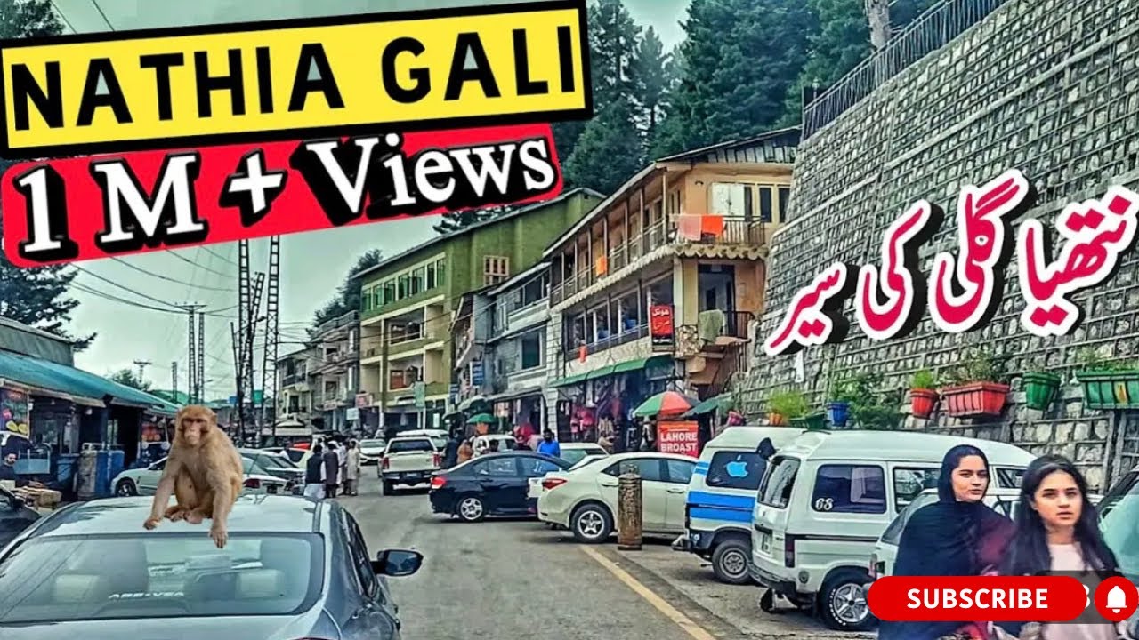 Beautiful Nathia Gali || Nathia Gali Pakistan || Today Weather Of ...