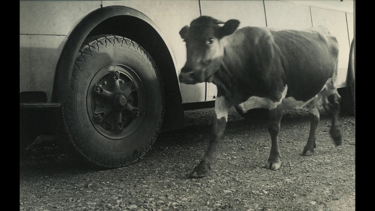 Jan Beran 1913 - 2003 — Tschechischer Fotograf - YouTube