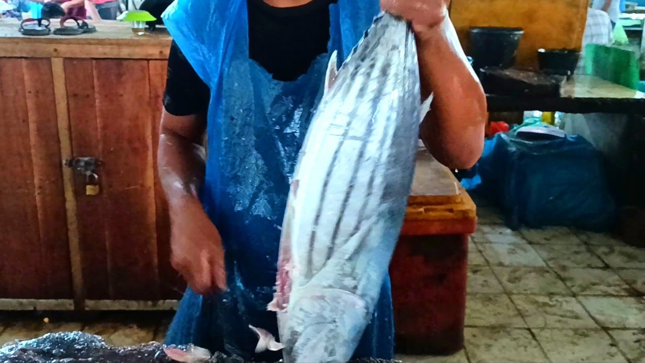 The Skill Of Cutting Small Skipjack Tuna Which Is Very Unique And ...