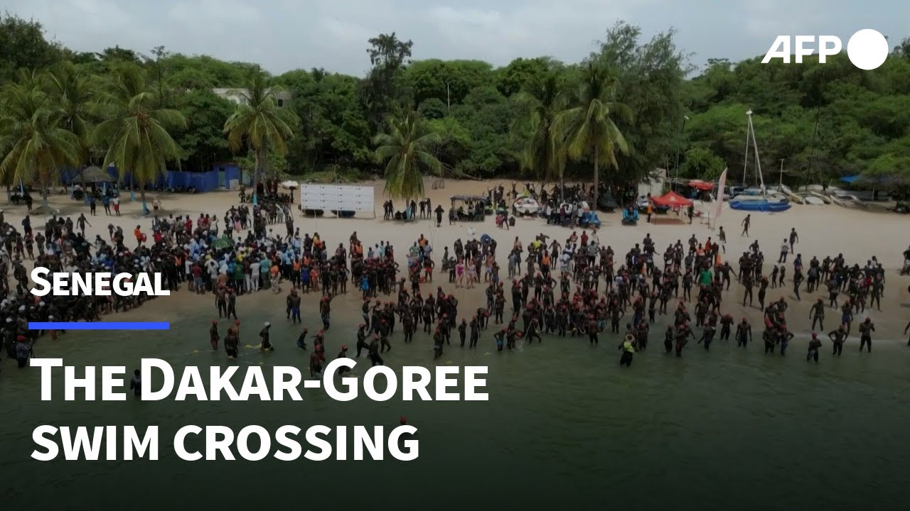 Record turnout for Dakar-Goree swim crossing in Senegal | AFP - YouTube