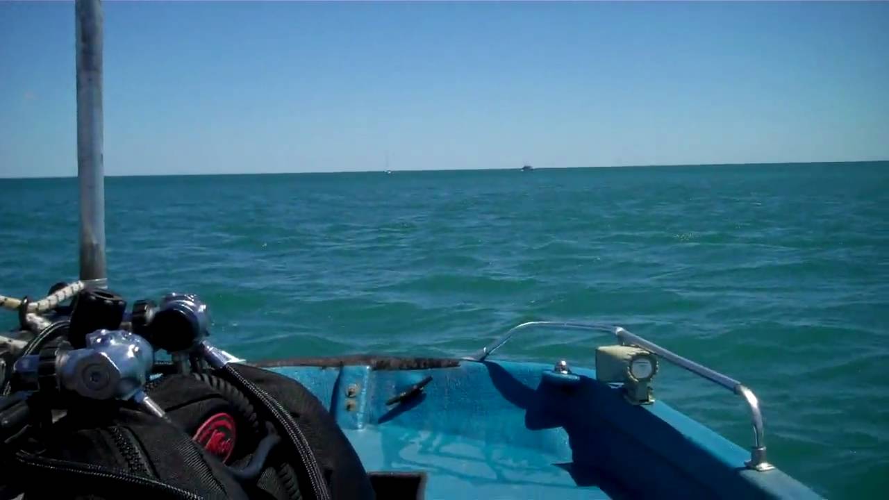Port Washington Scuba Dive - YouTube