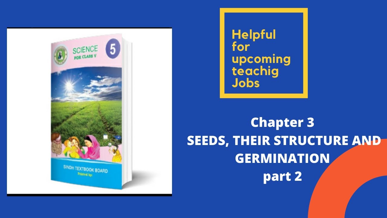 Chapter 3 SEEDS, THEIR STRUCTURE AND GERMINATION part 2 class 5 science ...