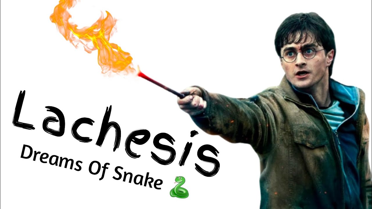 Lachesis - Drug Picture |Dreams of Snakes| #homoeopathy #bhms # ...