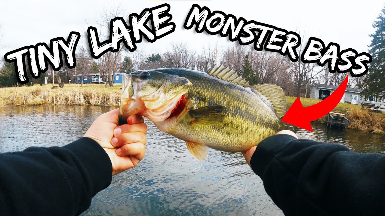 First Bass of the Year! (Tiny Lake Monster!) - YouTube