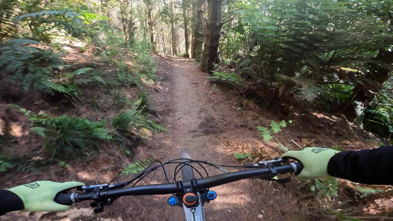MTB Ride! Vol. 35 Redwoods, Rotorua. Epic Pedal with Epic Pals (4K ...