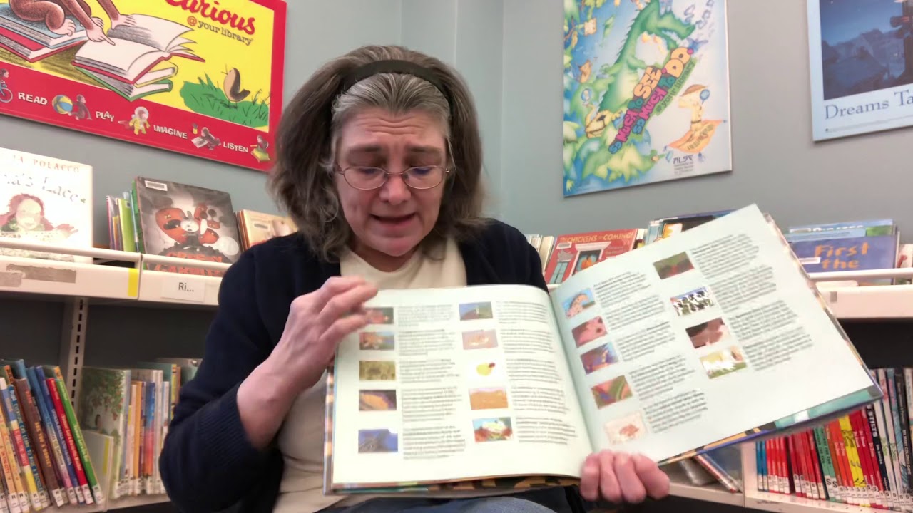 Story Time With Miss Robyn - YouTube